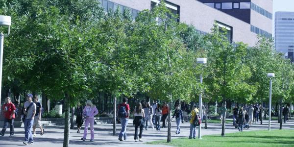 New Students | Undergraduate Advising | CU Denver College of Liberal ...