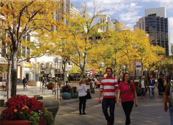A New Walkability Index for Denver Neighborhoods | Geography and ...