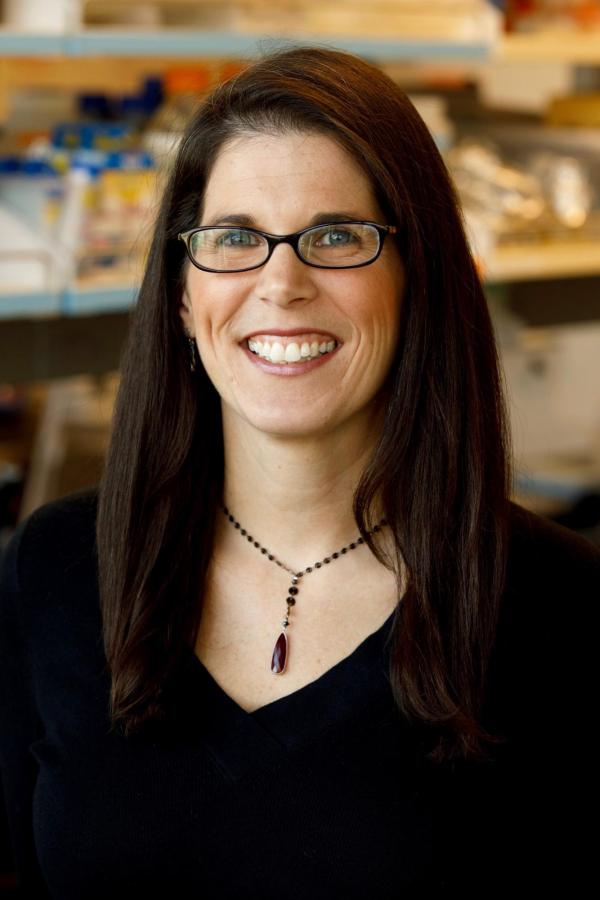 Annika C. Mosier | Integrative Biology | CU Denver College of Liberal ...